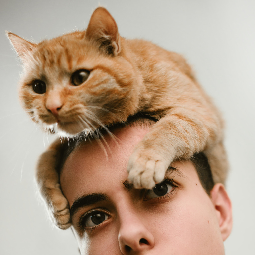 16 Visual Writing Prompts – Teacher's Notepad