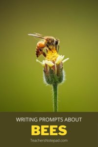 21 Writing Prompts about Bees – Teacher's Notepad