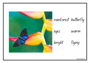 10 Picture Writing Prompts For Kids – Teacher's Notepad