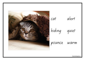 10 Animal Picture Prompts (with PDFs) – Teacher's Notepad