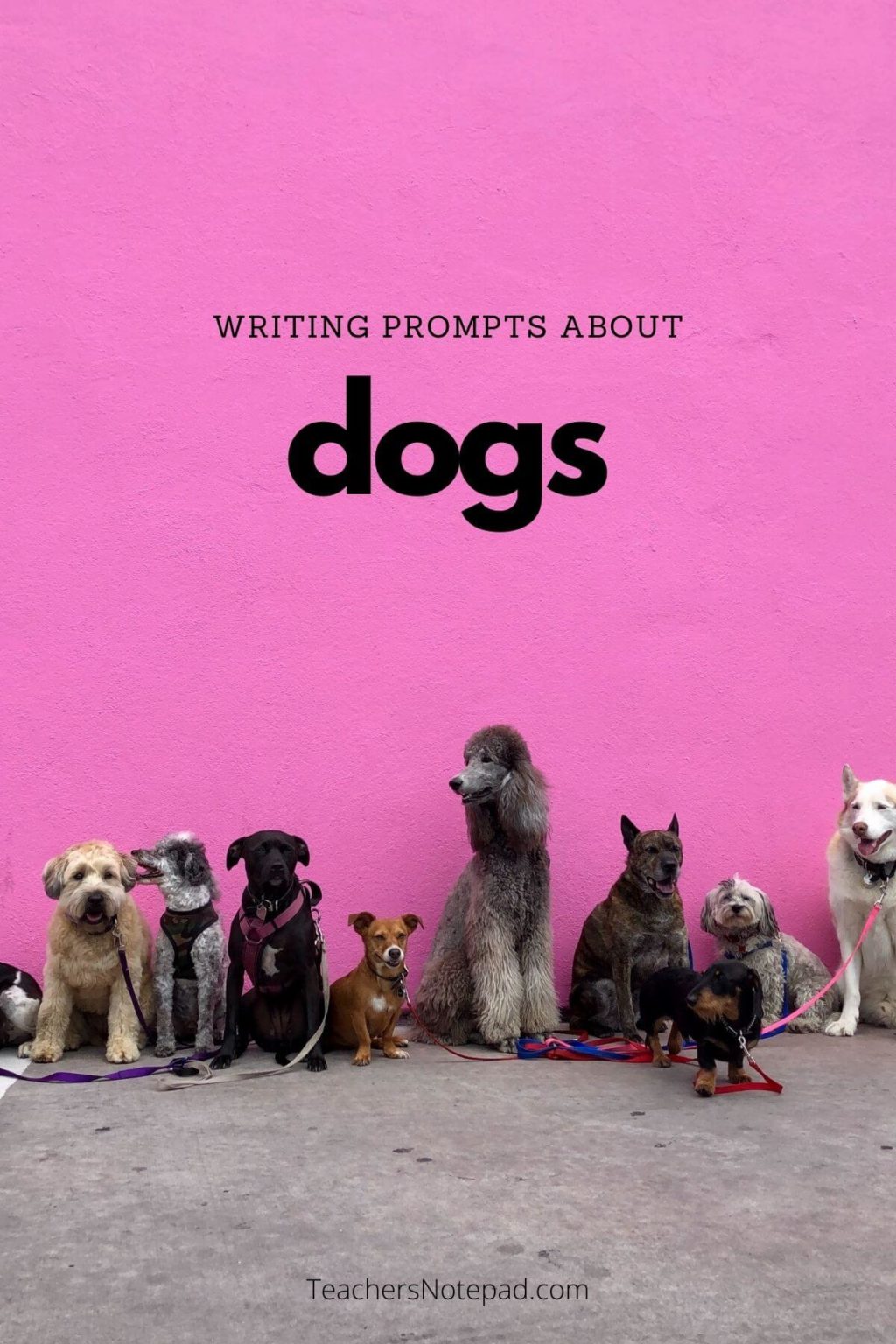 34 Writing Prompts about Dogs – Teacher's Notepad