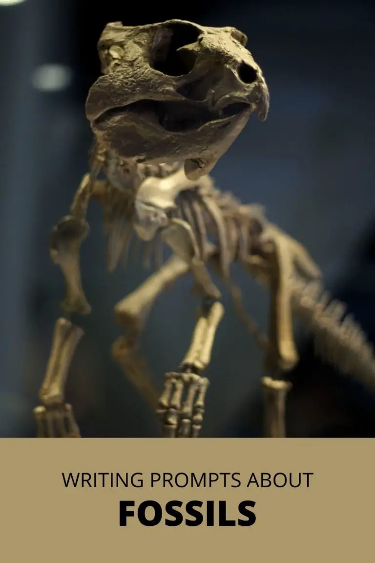 15 Writing Prompts about Fossils – Teacher's Notepad