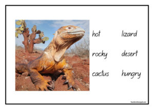 10 Picture Writing Prompts For Kids – Teacher's Notepad