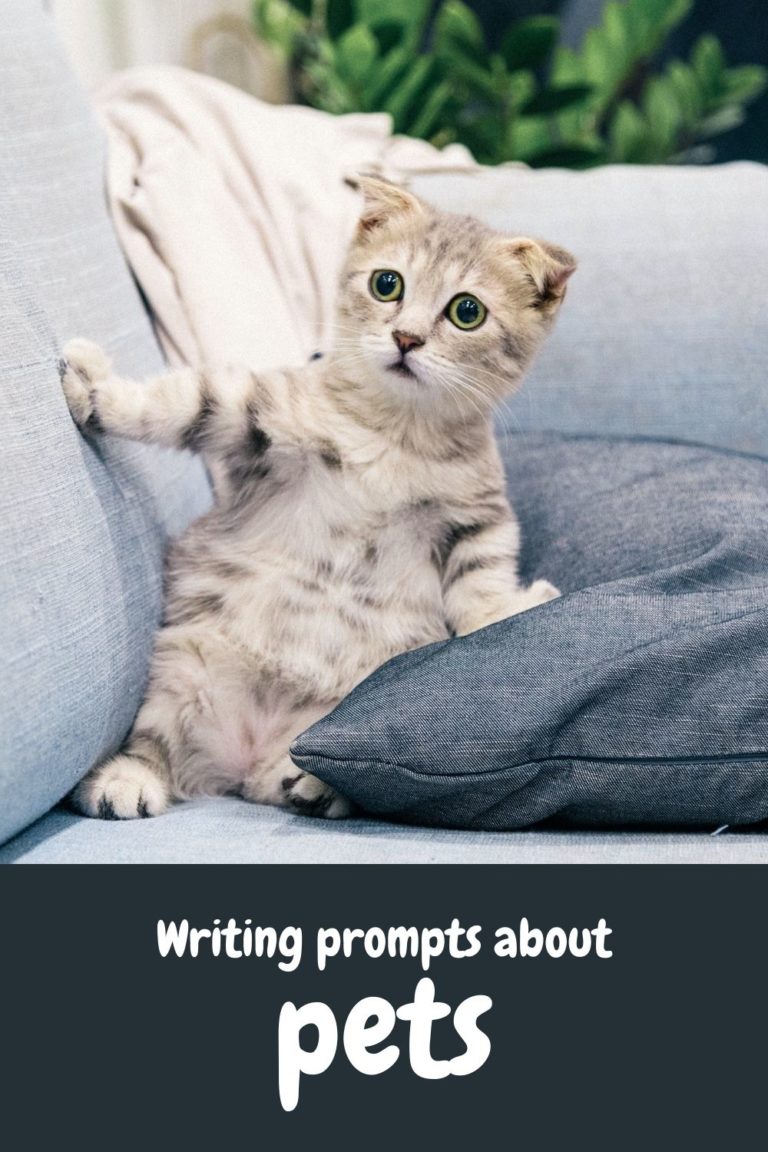 11 Writing Prompts about Pets – Teacher's Notepad