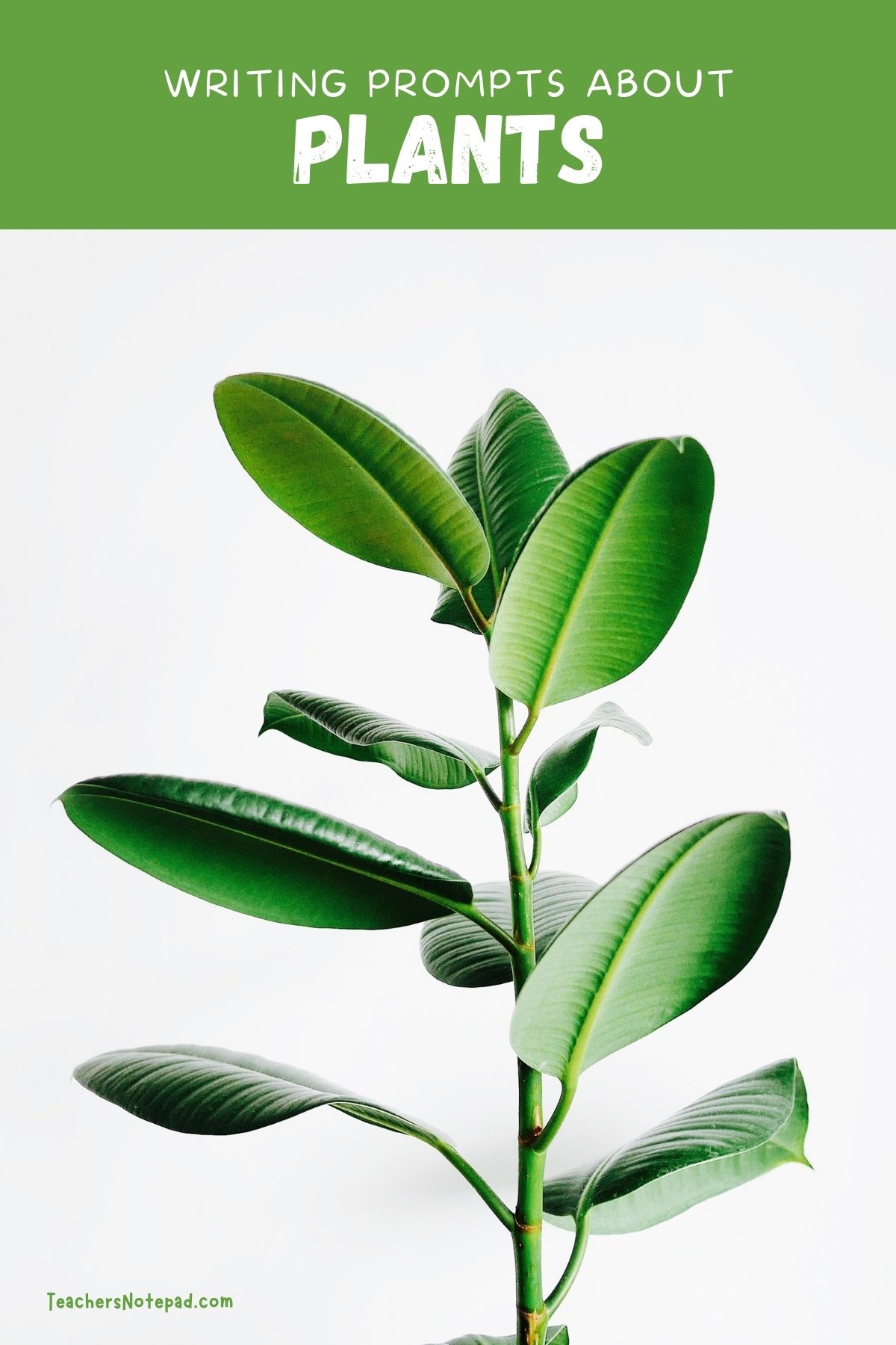 33 Writing Prompts About Plants – Teacher's Notepad