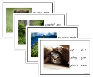 South Australian Spelling Test Age Calculator – Teacher's Notepad