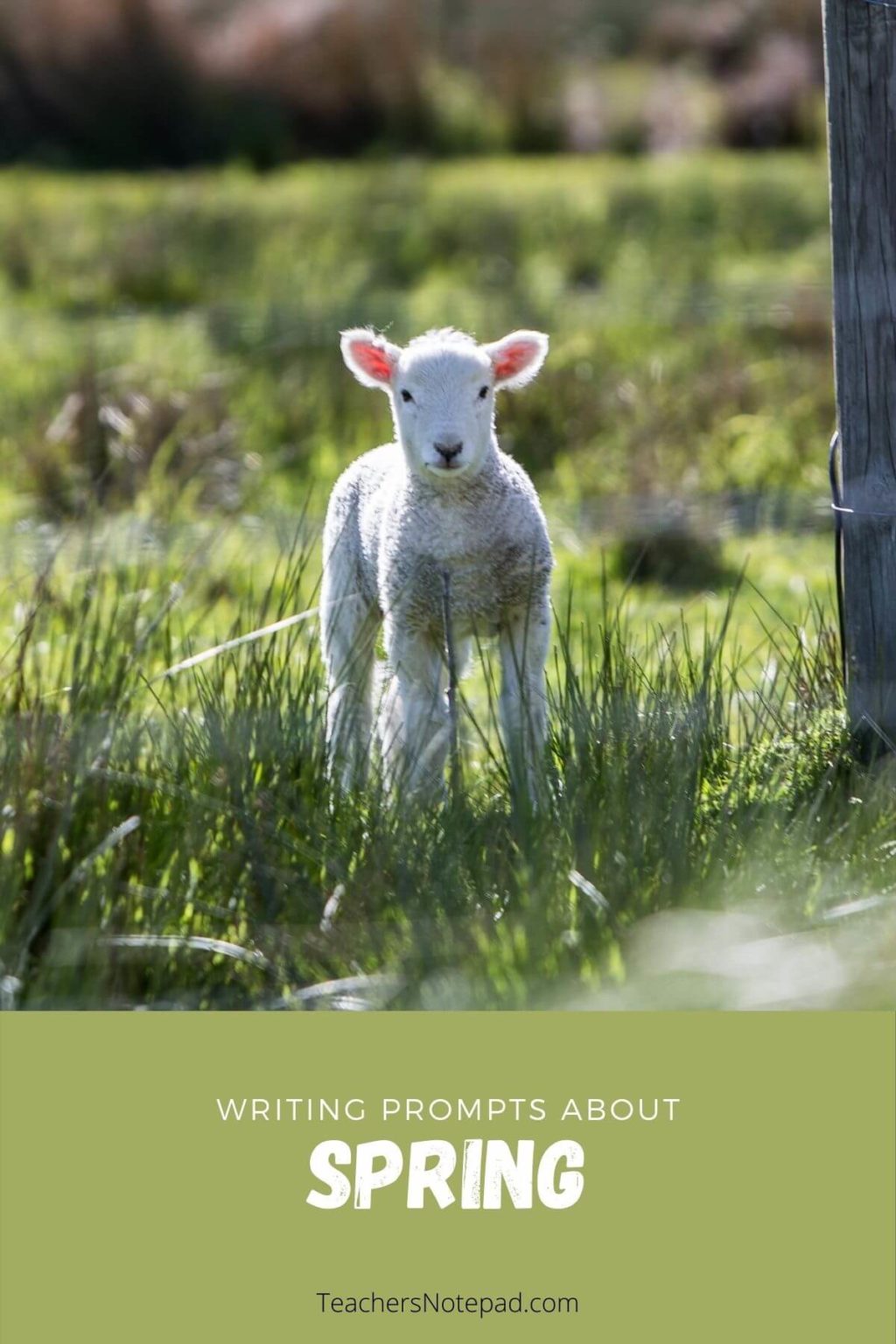 31 Writing Prompts About Spring Teacher s Notepad 31-writing-prompts-about-spring-teacher-s-notepad