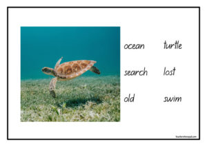 10 Picture Writing Prompts For Kids – Teacher's Notepad