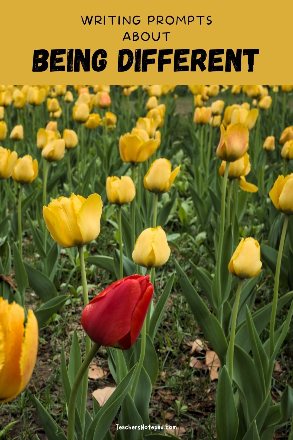 47 Writing Prompts About Being Different – Teacher's Notepad