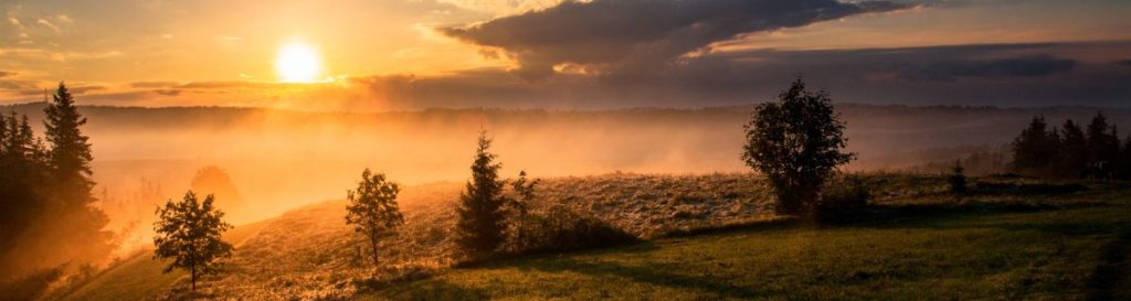 47 Writing Prompts About Nature – Teacher's Notepad